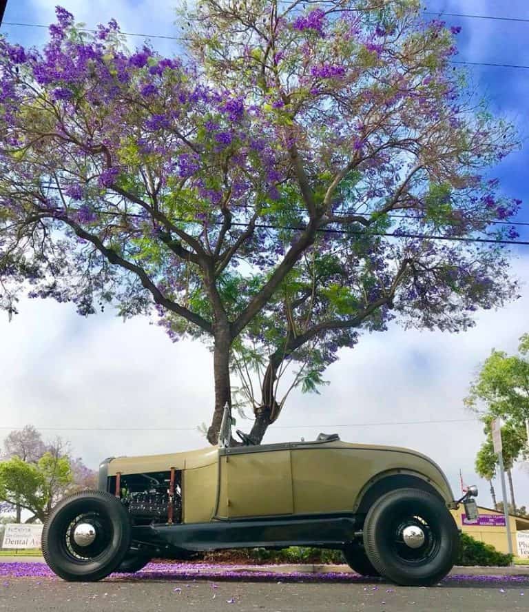 HOT ROD LEATHER HOOD STRAP KIT – Carpy’s Cafe Racers